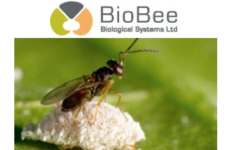 Bio-Bee (Israël) envoie des abeilles israéliennes à la rescousse des ...